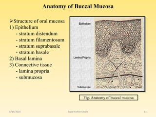 Buccal and sublingual drug delivery system | PPTX