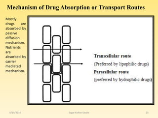 Buccal and sublingual drug delivery system | PPTX