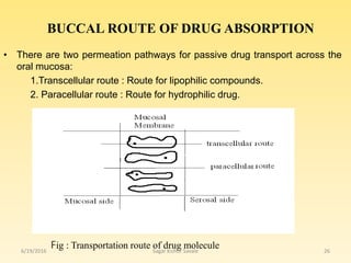 Buccal and sublingual drug delivery system | PPTX