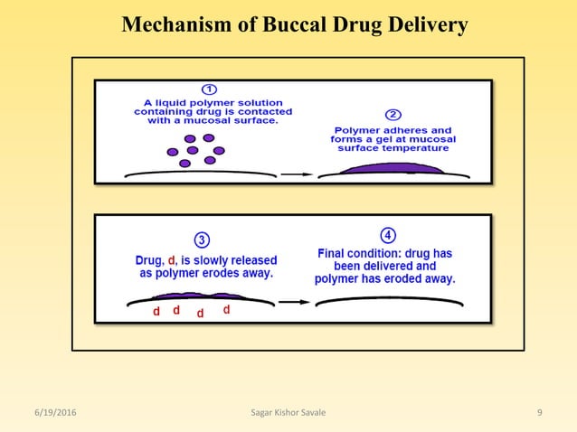 Buccal and sublingual drug delivery system | PPTX | Ear, Nose and ...