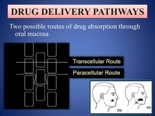Buccal drug delivery system | PPTX
