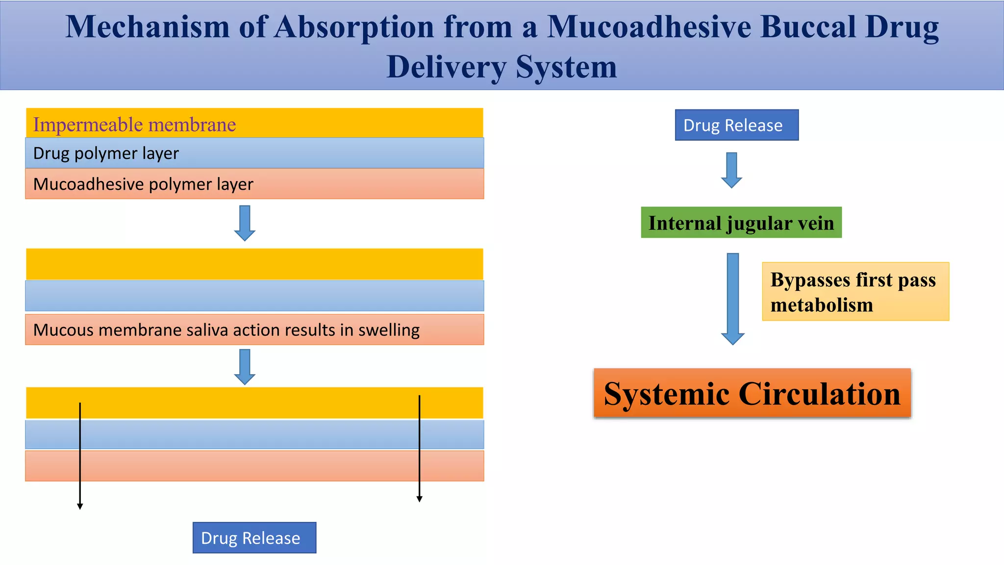 Buccal drug delivery system | PPTX