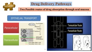 Buccal drug delivery system | PPT