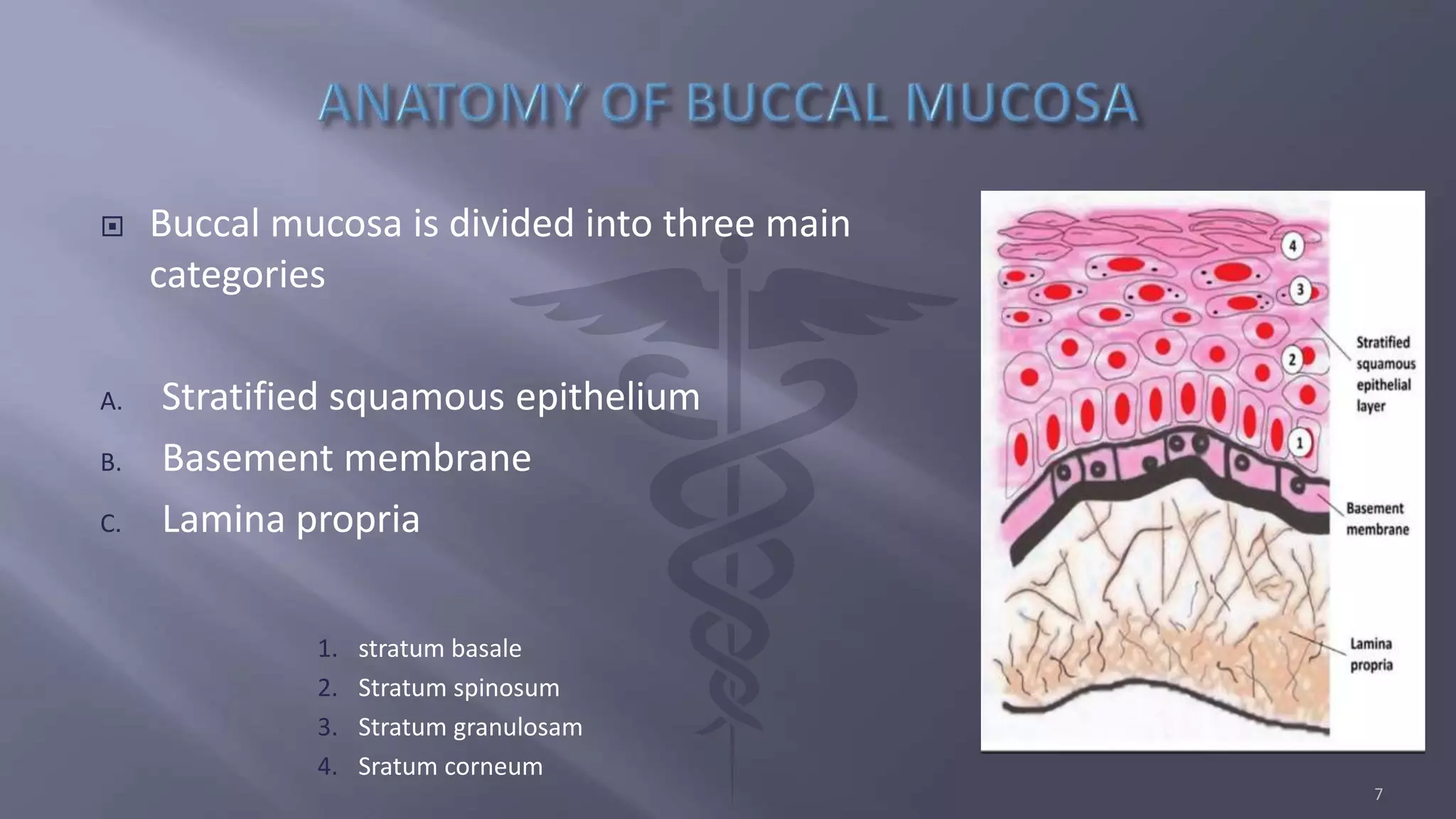Buccal drug delivery system | PPTX
