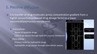 Buccal drug delivery system | PPTX