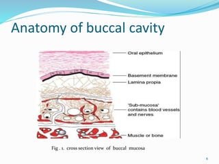 Buccal drug delivery system | PPT