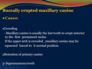 buccallyeruptedmaxillarycanine-180803165227-converted (2).pptx