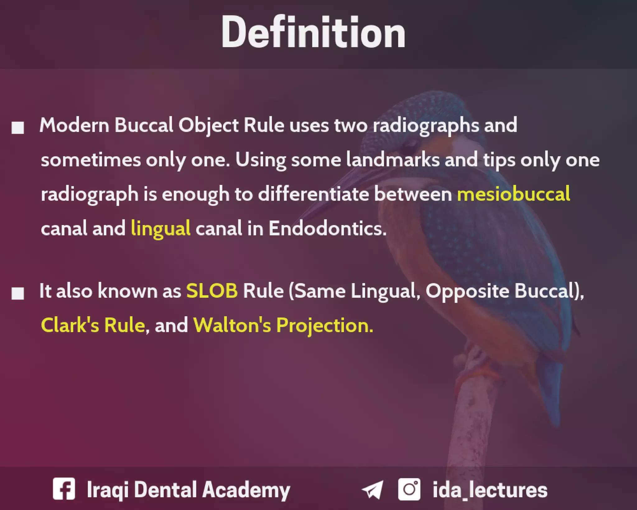 Buccal Object Rule - A Radiographic Aid in Dental Practice. | PDF