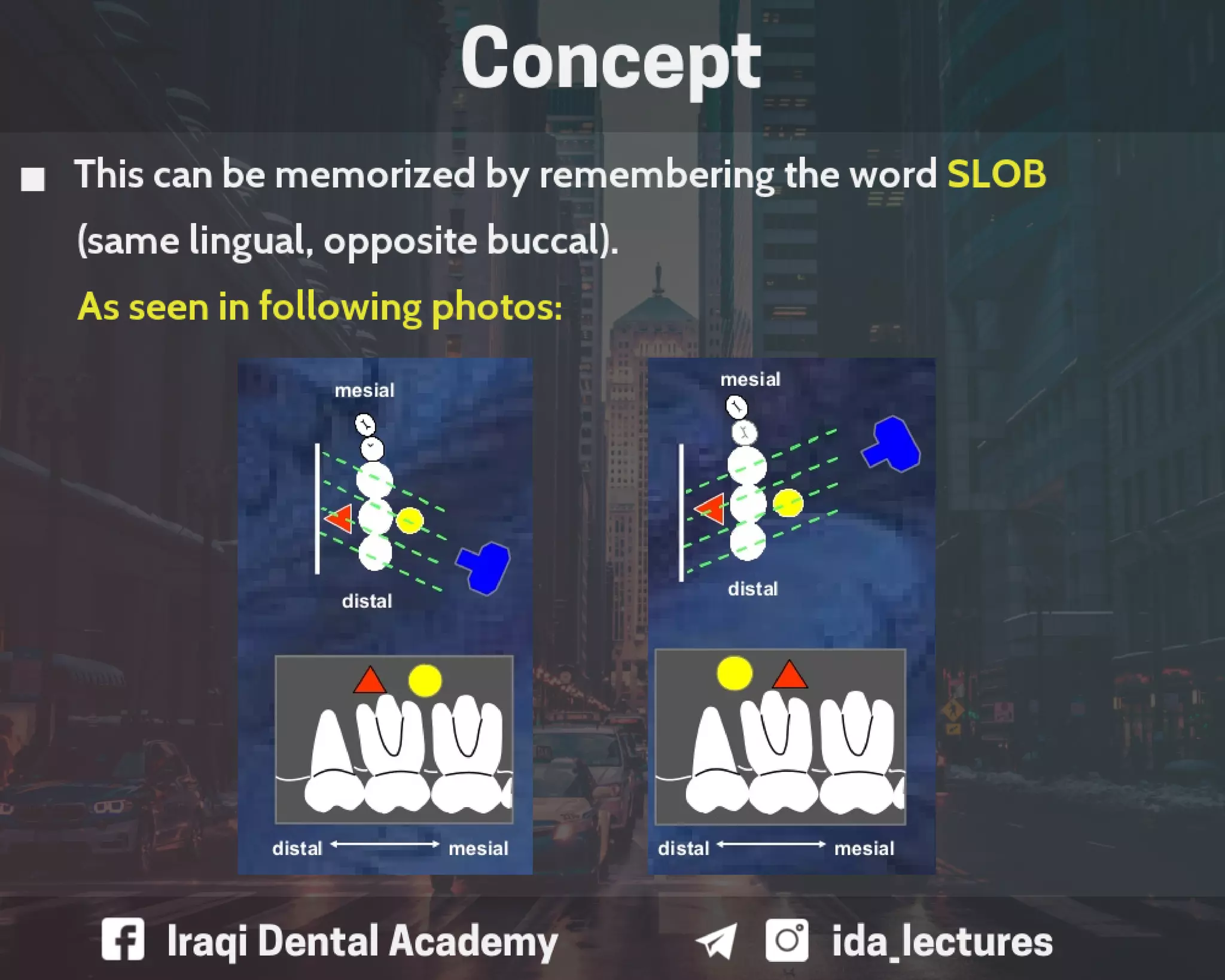 Buccal Object Rule - A Radiographic Aid in Dental Practice. | PDF