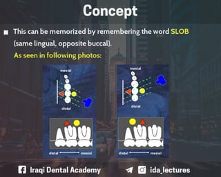 Buccal Object Rule - A Radiographic Aid in Dental Practice. | PDF