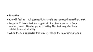 BUCCAL SMEAR _LYONIZATION hhhhhhhhh.pptx