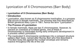 BUCCAL SMEAR _LYONIZATION hhhhhhhhh.pptx