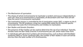 BUCCAL SMEAR _LYONIZATION hhhhhhhhh.pptx