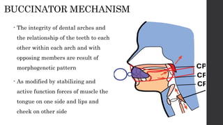 buccinator mechanism.pptx in orthodontic | PPTX