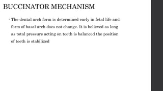 buccinator mechanism.pptx in orthodontic | PPTX