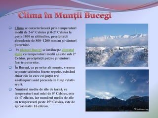 muntii Bucegi | PPSX