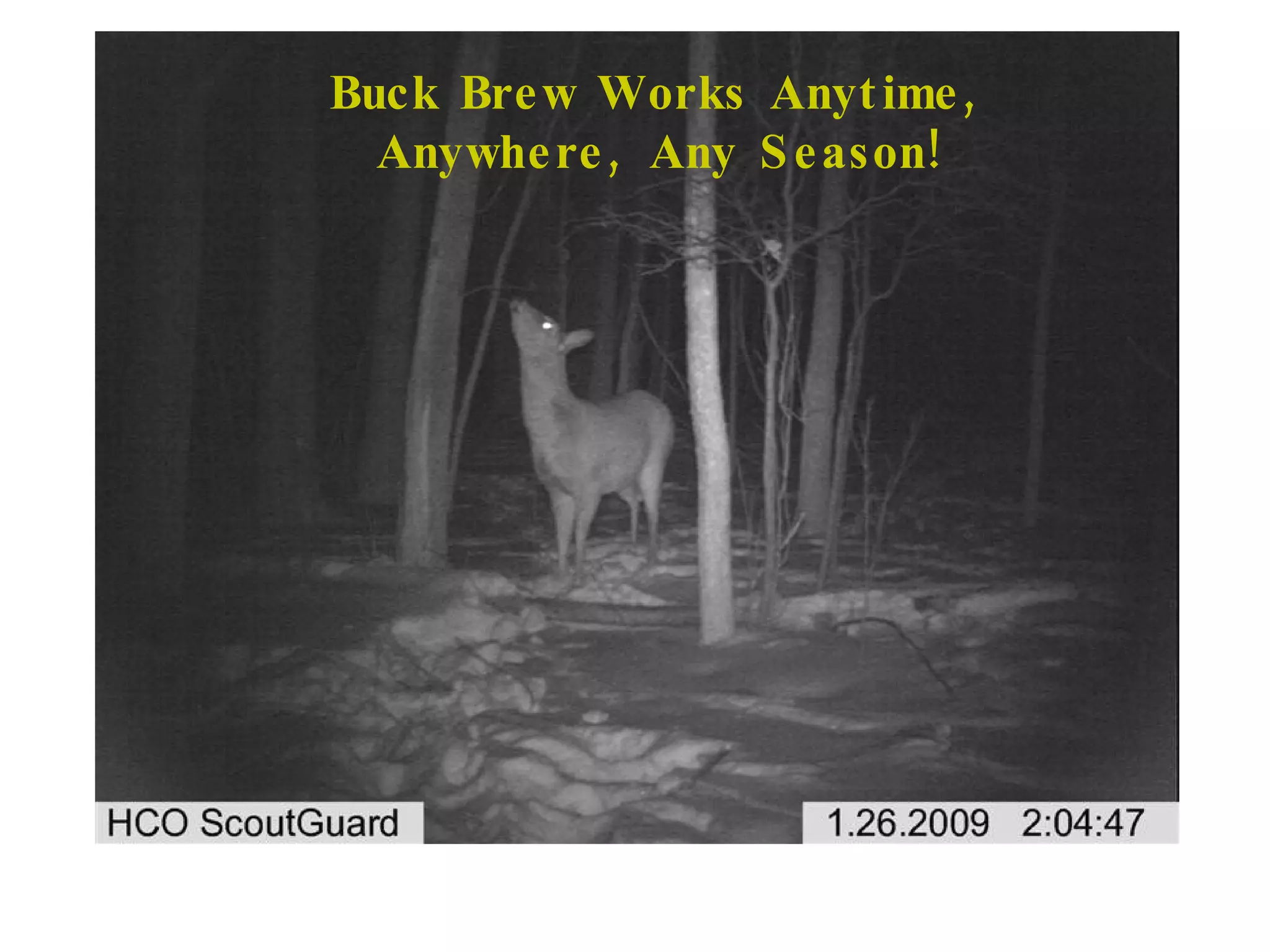 Buck Brew | PPT