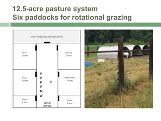 Buck development | PPT