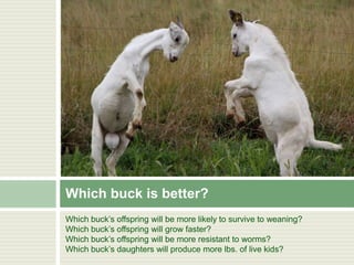 Buck development | PPTX