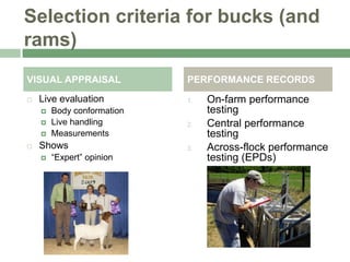 Buck development | PPT
