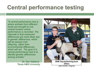 Buck development | PPT