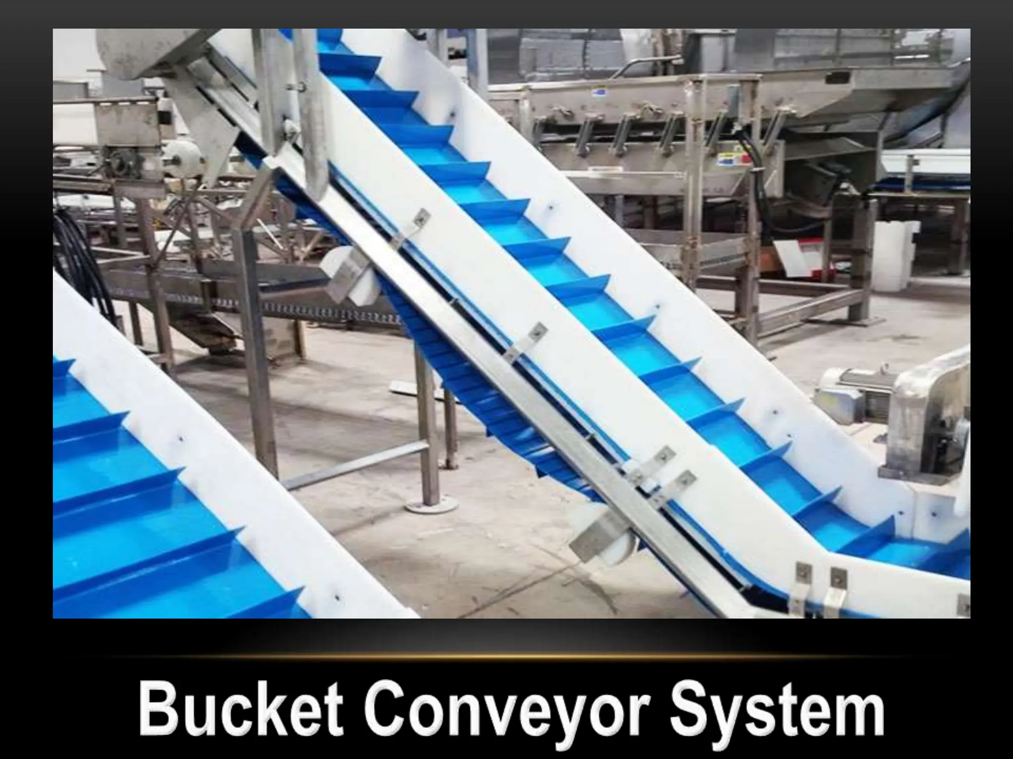 Bucket Conveyor Manufacturers Chennai.pptx