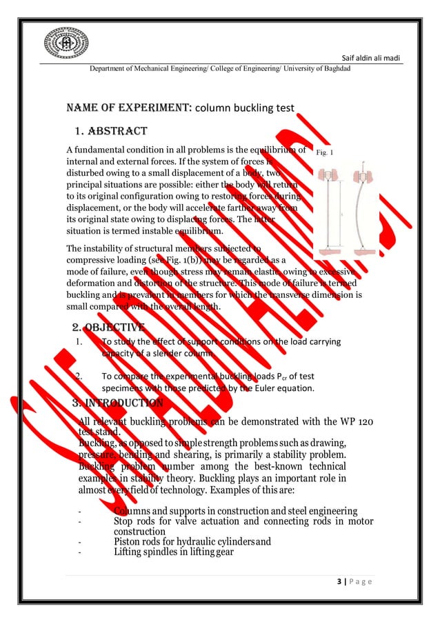 Buckling test | PDF | Physics | Science