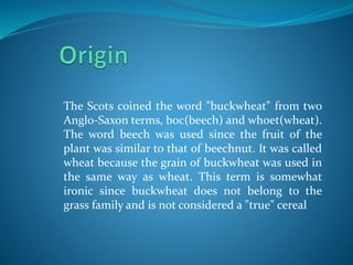 Buck wheat | PPTX