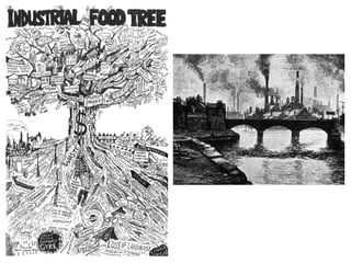 Bucky Box - Changemakers Convention - Food Security in Insecure Future ...