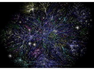 Bucky Box - Changemakers Convention - Food Security in Insecure Future ...