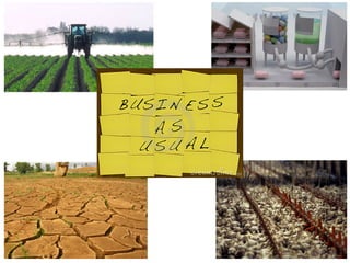 Bucky Box - Changemakers Convention - Food Security in Insecure Future ...