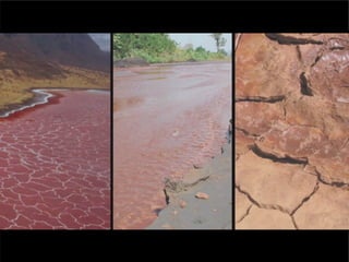 Bucky Box - Changemakers Convention - Food Security in Insecure Future ...