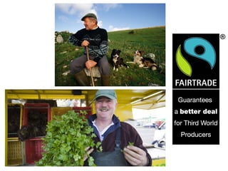 Bucky Box - Changemakers Convention - Food Security in Insecure Future ...