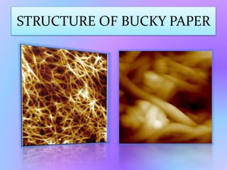 Bucky paper | PPT