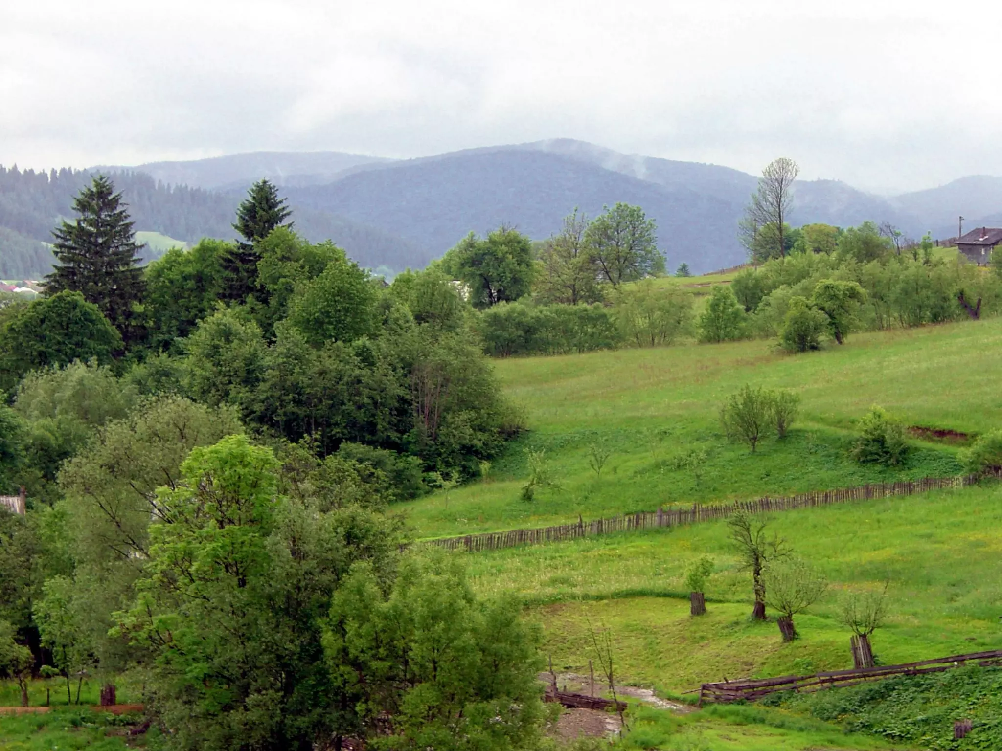 Bucovina ROMANIA | PPS