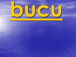 Bucu | PPTX