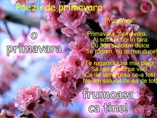Bucuriile Primaveri | PPT