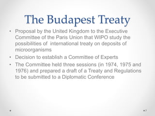 Budapest PPT.pptx