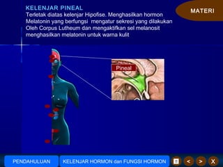 sistem endokrin | PPT