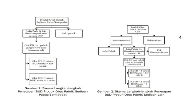 BUD (Beyond Use Date).pptx