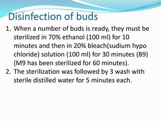 Bud culture | PPTX