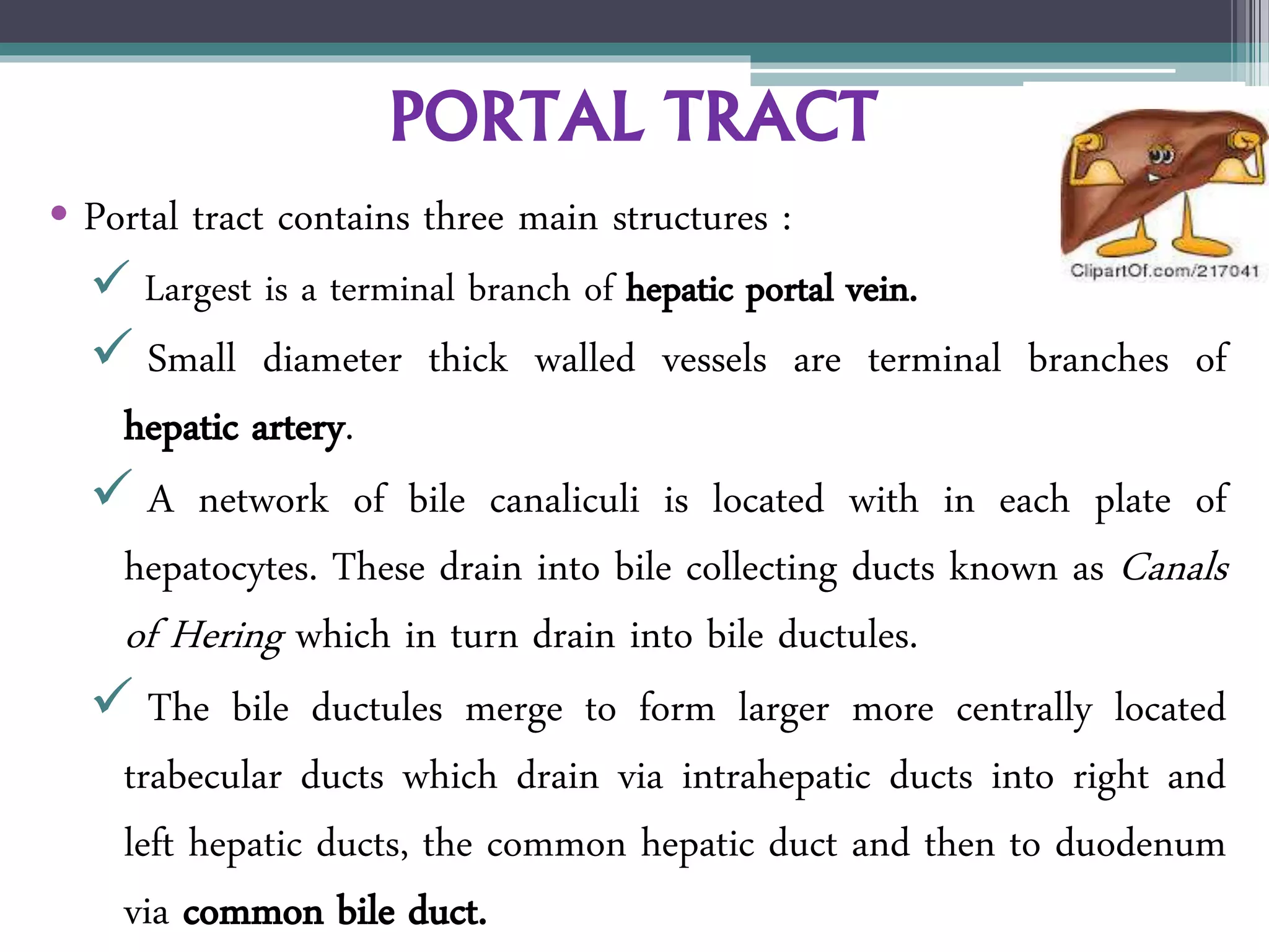 LIVER HISTOPATHOLOGY (Budd chiari syndrome, Cirrohosis ...