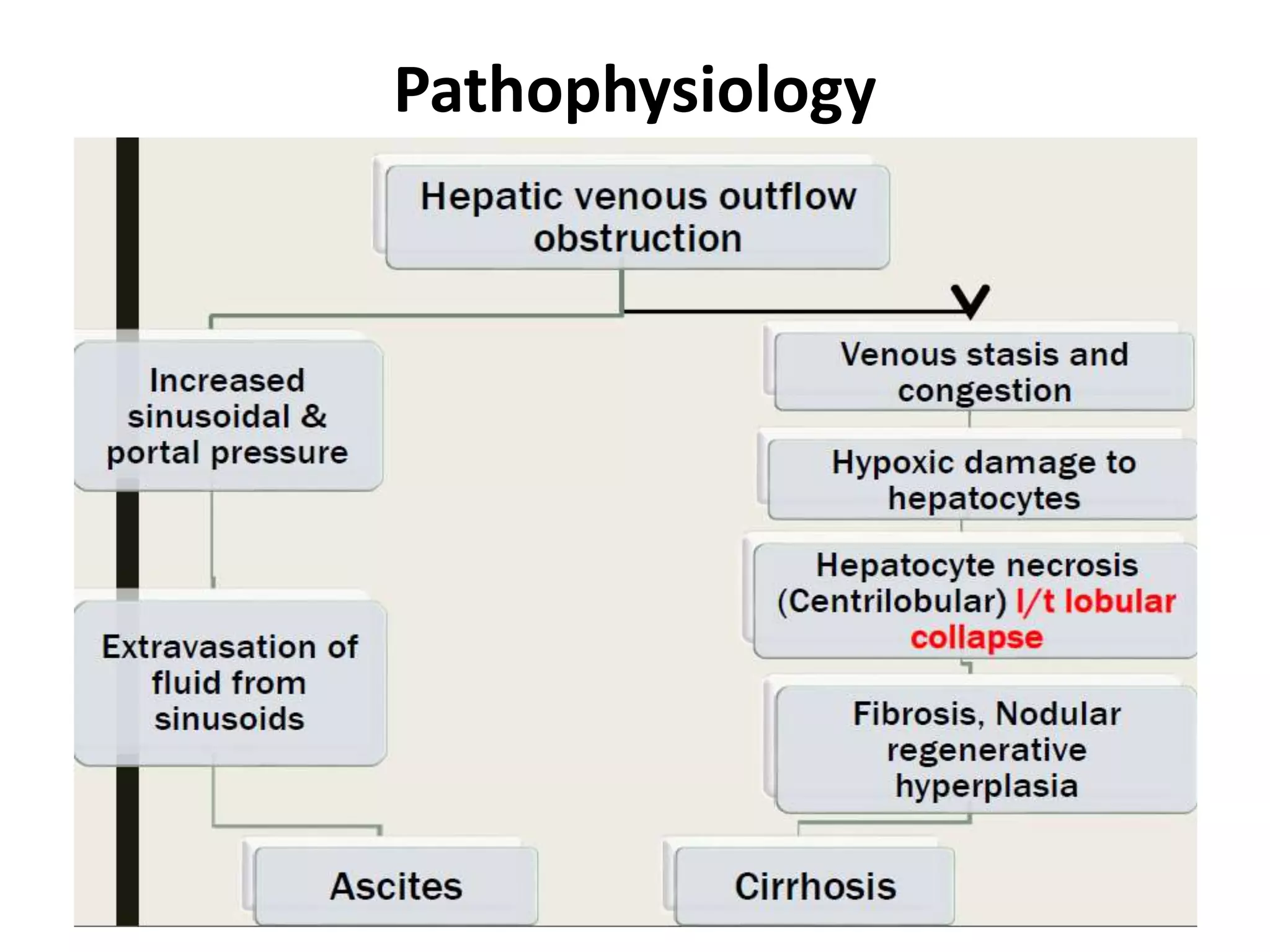 Budd chiari syndrome | PPTX