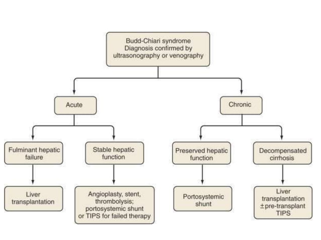 Budd chiari syndrome | PPTX