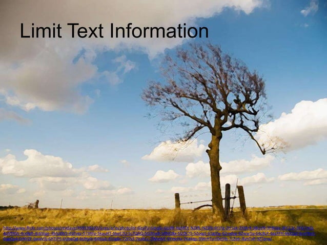 Top 10 Slide Tips for Presentations | PPTX