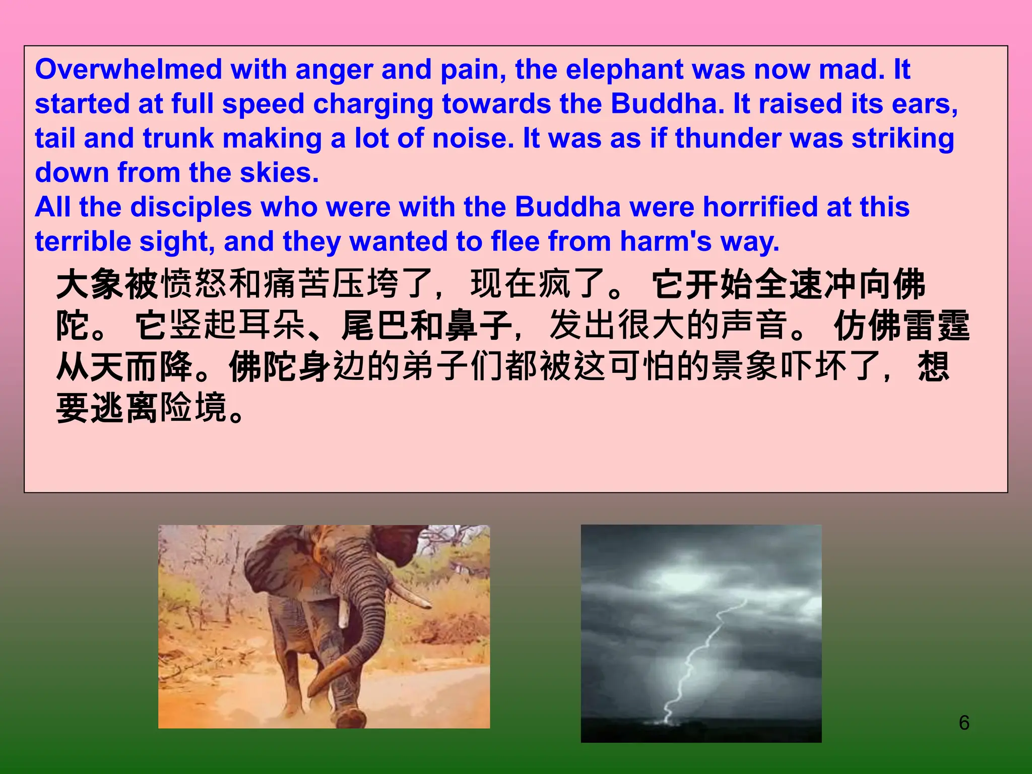 Buddha and the Mad, Drunk Elephant (Eng & Chi).pptx