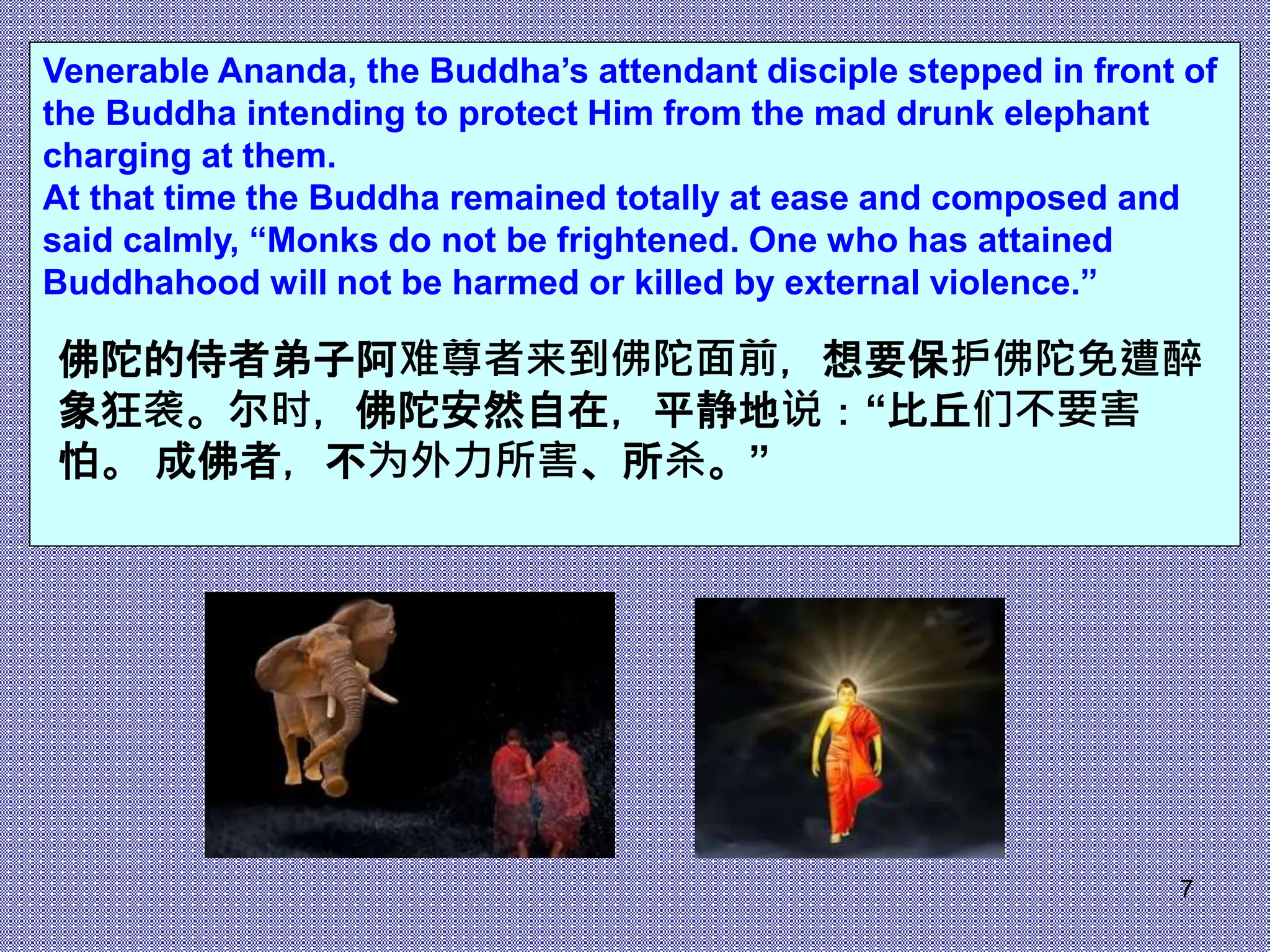 Buddha and the Mad, Drunk Elephant (Eng & Chi).pptx