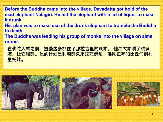 Buddha and the Mad, Drunk Elephant (Eng & Chi).pptx