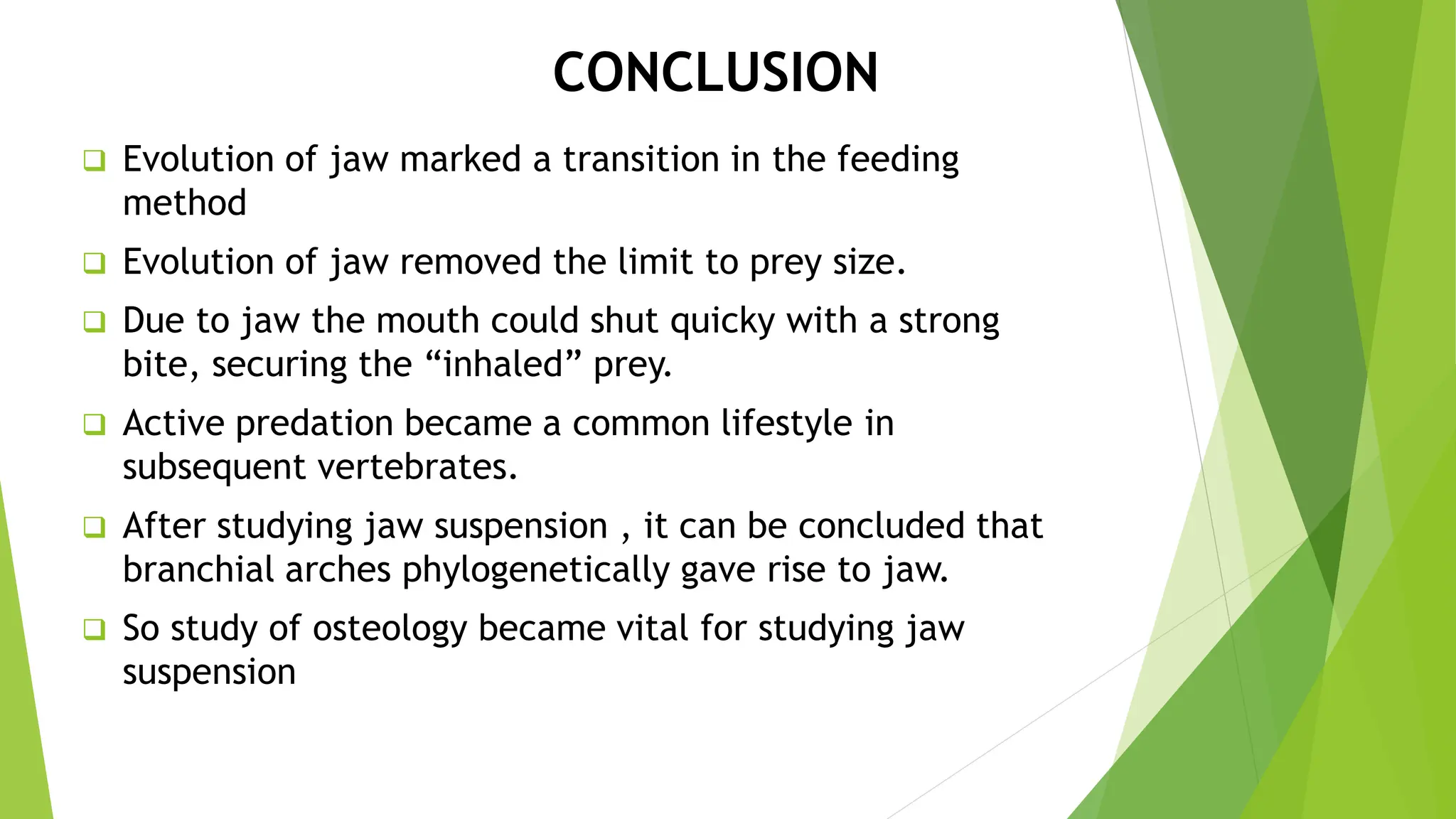 Jaw suspension in different Vertebrates | PDF