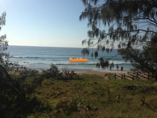 24 Pictures of Buddina Beach On The Sunshine Coast Of Australia | PPTX